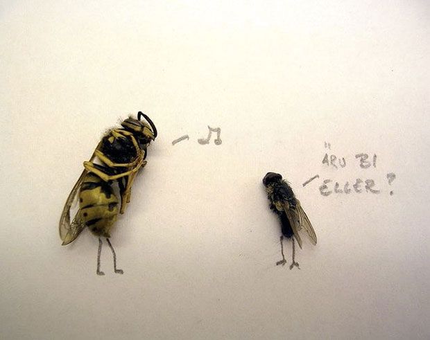 Dead Flies Art by Flychelangelo – Feel Desain | your daily dose of ...