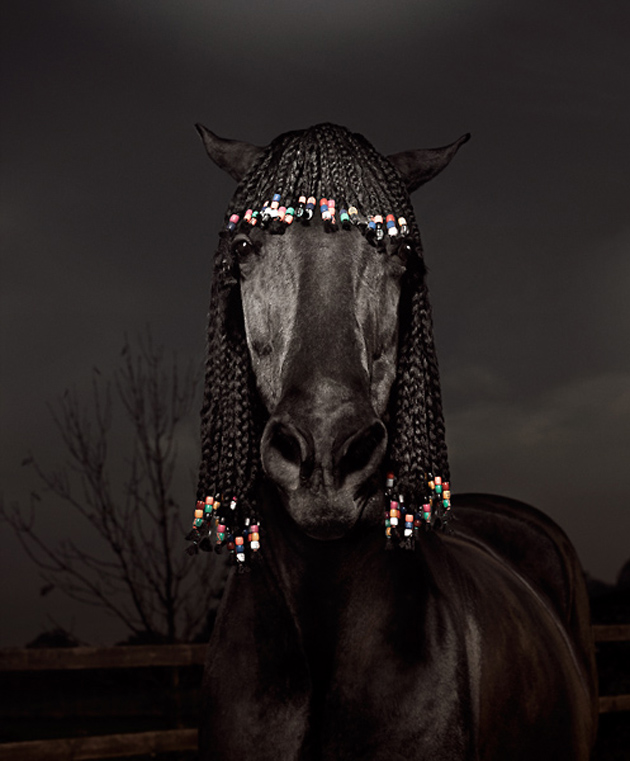Pony Pin-Ups by JULIAN WOLKENSTEIN – Feel Desain | your daily dose of ...