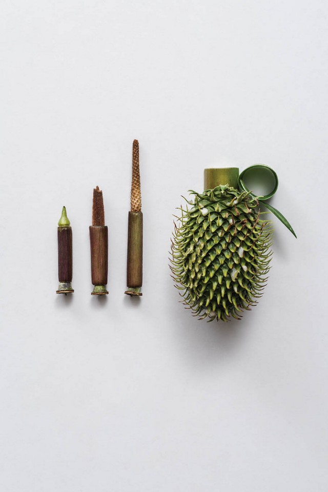 Weapons from nature – Feel Desain | your daily dose of creativity