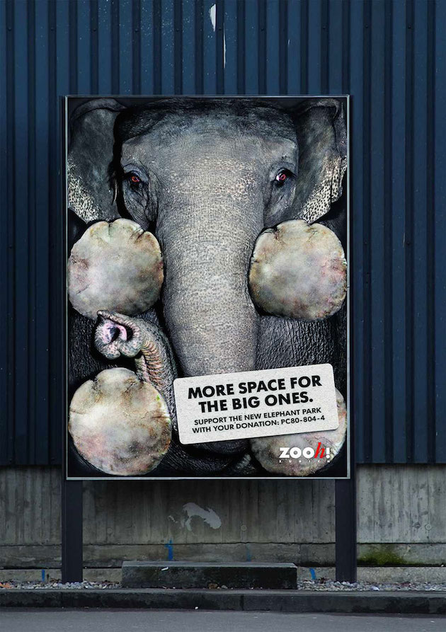 33 Powerful Animal Ad Campaigns – Feel Desain | your daily dose of ...