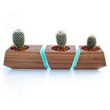 Boxcar | Revolution Design House – Feel Desain | your daily dose of ...