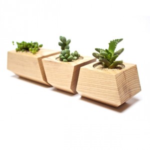 Boxcar | Revolution Design House – Feel Desain | your daily dose of ...