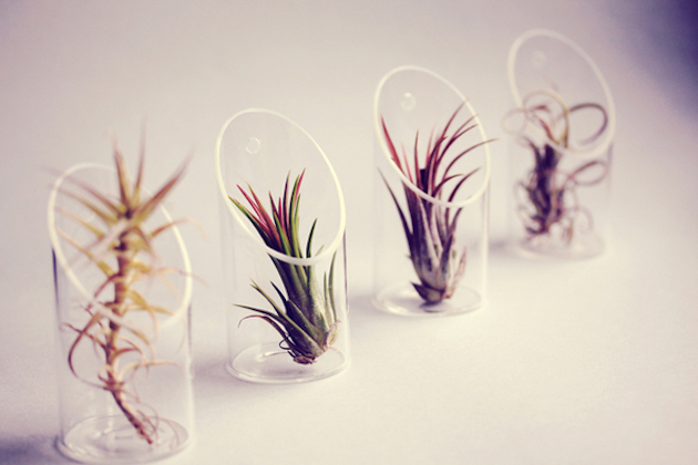 Petit Beast jellyfish planters | Cathy Van Hoang – Feel Desain | your ...