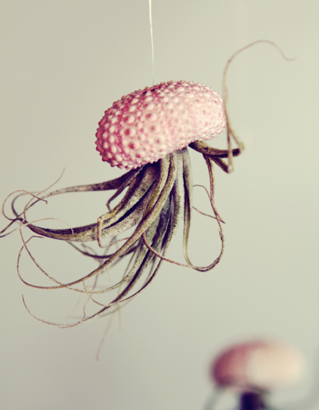 Petit Beast jellyfish planters | Cathy Van Hoang – Feel Desain | your ...
