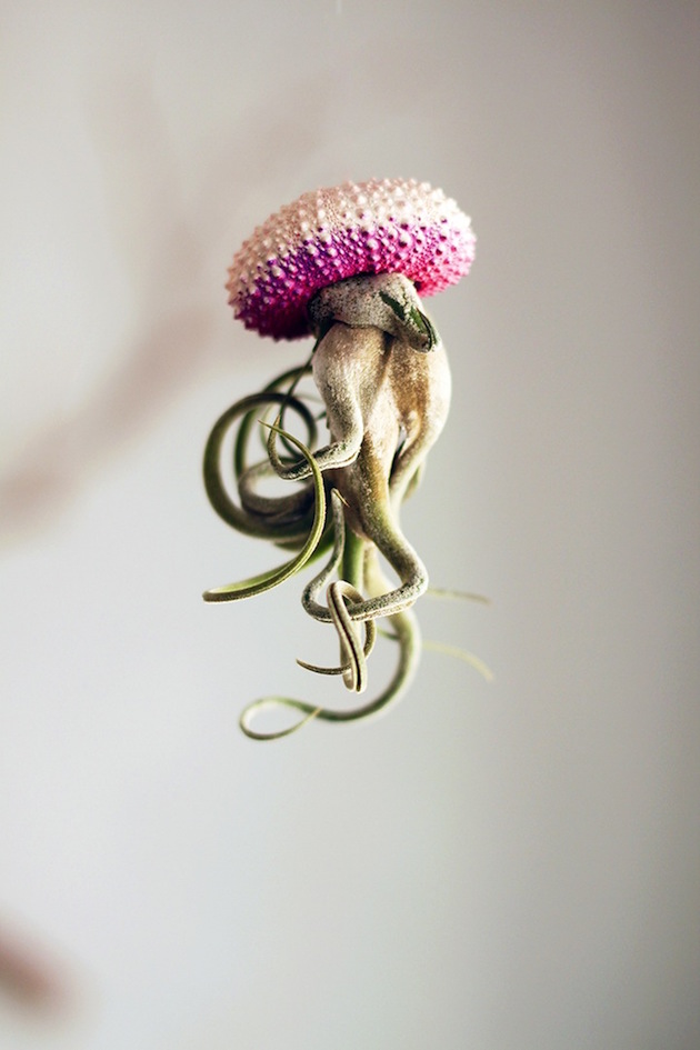 Petit Beast jellyfish planters | Cathy Van Hoang – Feel Desain | your ...