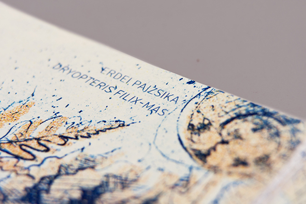 DESIGN STUDENT REDESIGNED THE EURO – Feel Desain | your daily dose of ...