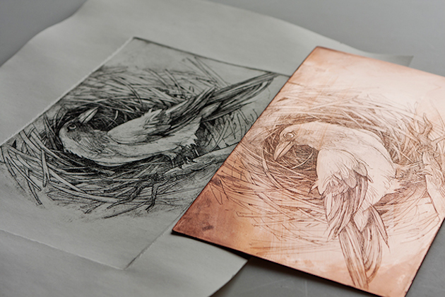 DESIGN STUDENT REDESIGNED THE EURO – Feel Desain | your daily dose of ...
