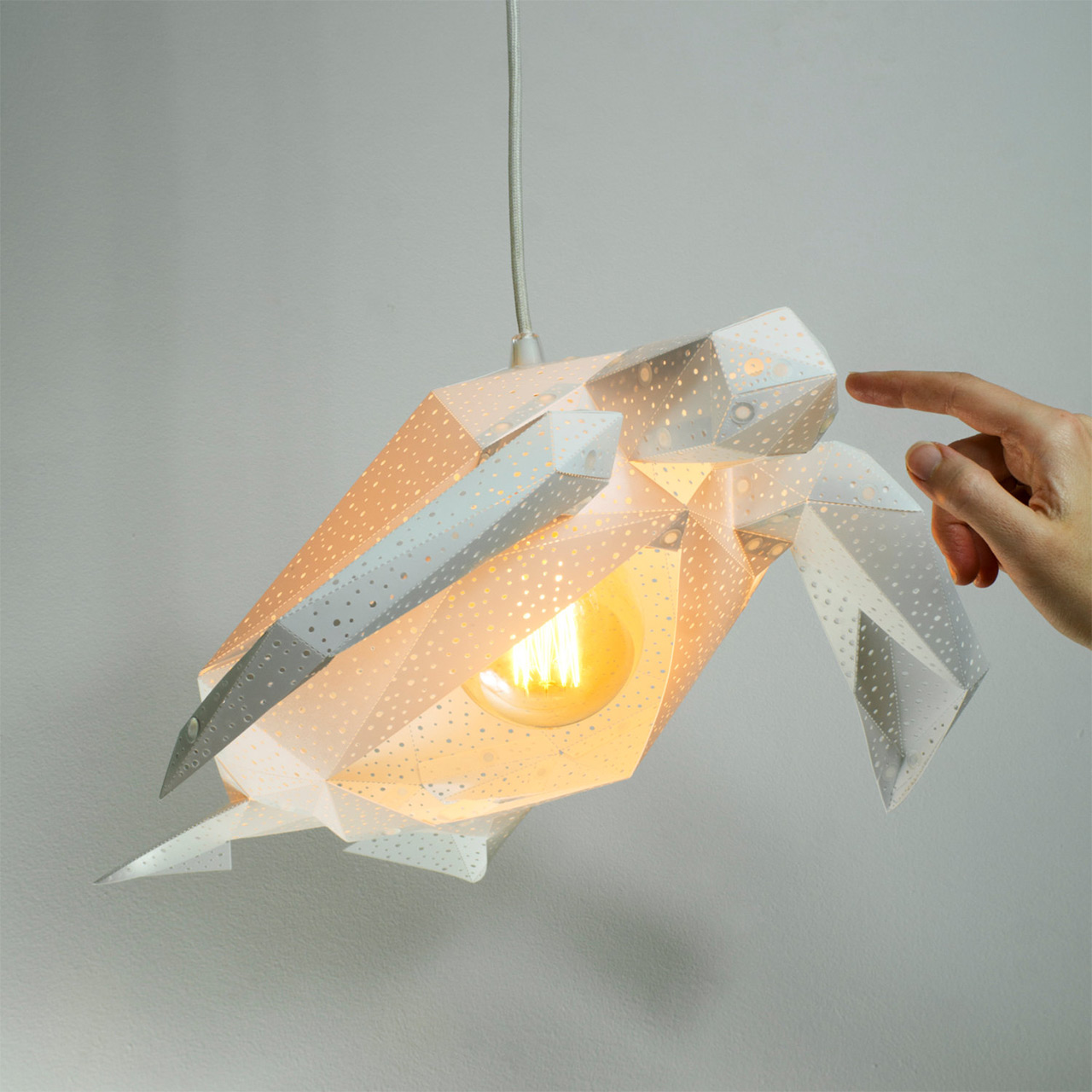 The acquatic life represented in this handcrafted light series – Feel ...